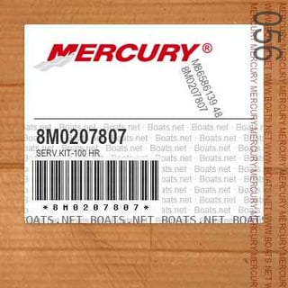 MERCURY OEM SERV KIT-100 HR - 8M0207807 | Boats.net