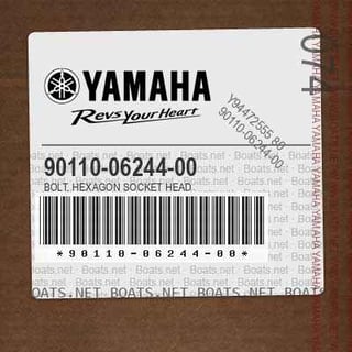 YAMAHA OEM BOLT, HEXAGON SOCKET HEAD - 90110-06244-00 | Boats.net