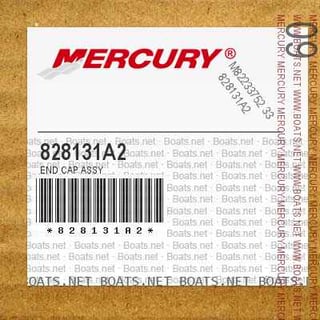 MERCURY OEM END CAP ASSY - 828131A2 | Boats.net