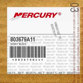MERCURY OEM SHORT BLOCK - 803679A11 | Boats.net