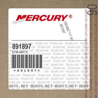 MERCURY OEM ECM-MEFI 4 - 891897 | Boats.net