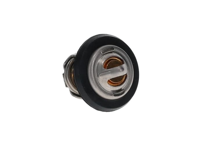 Mercury 8M0168892 - THERMOSTAT | Boats.net