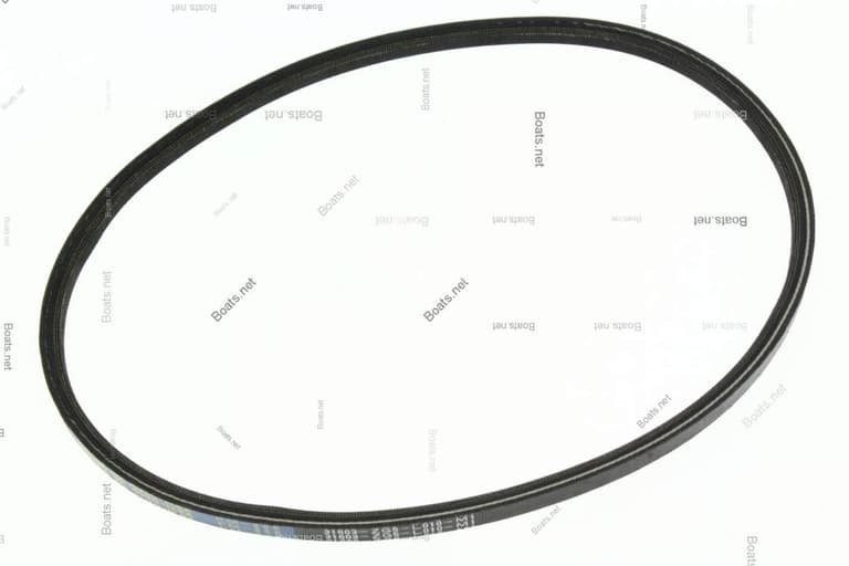 Honda 31603-ZG5-L01 - BELT, ALTERNATOR (BANDO) | Boats.net