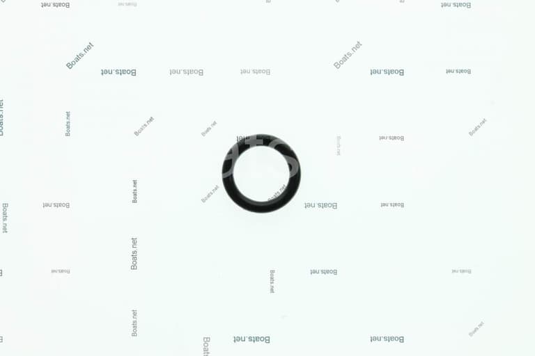 Mercury 89879 - O RING | Boats.net