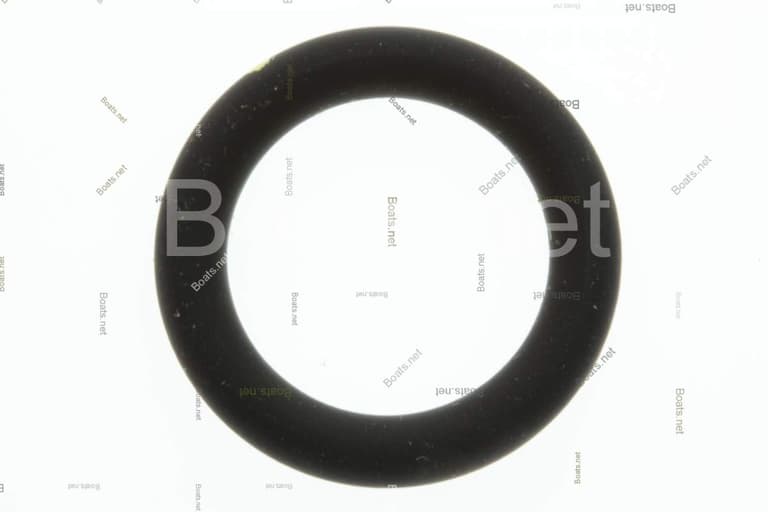 Honda 16979-ZV5-900 - O-RING | Boats.net