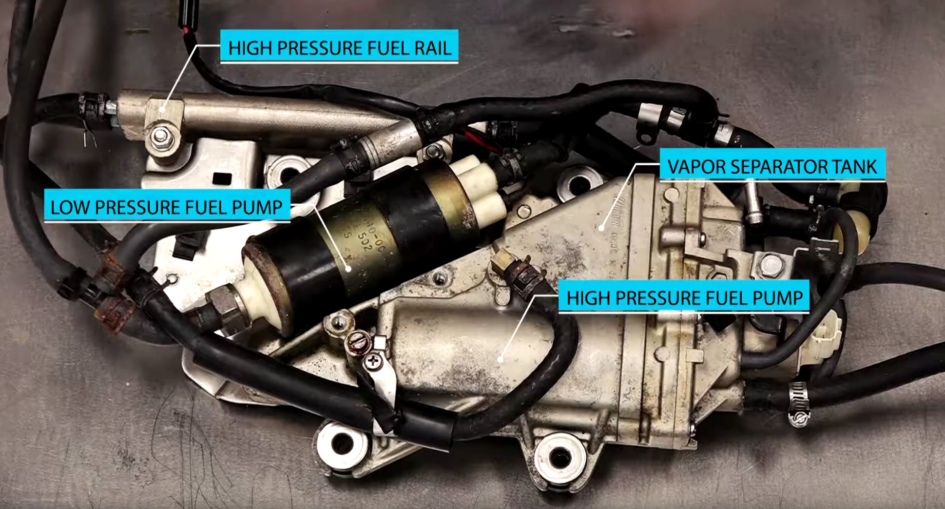 Understanding Yamaha Outboard Fuel Filter Systems Boats Net | My XXX ... Understanding Yamaha Outboard Fuel Filter Systems Boats Net | My XXX ...